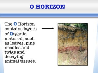 Soil horizons | PPT