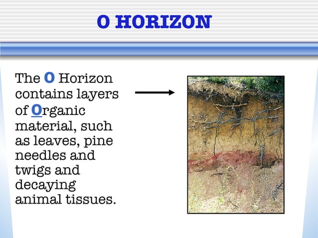 Soil horizons | PPT | Geology | Science