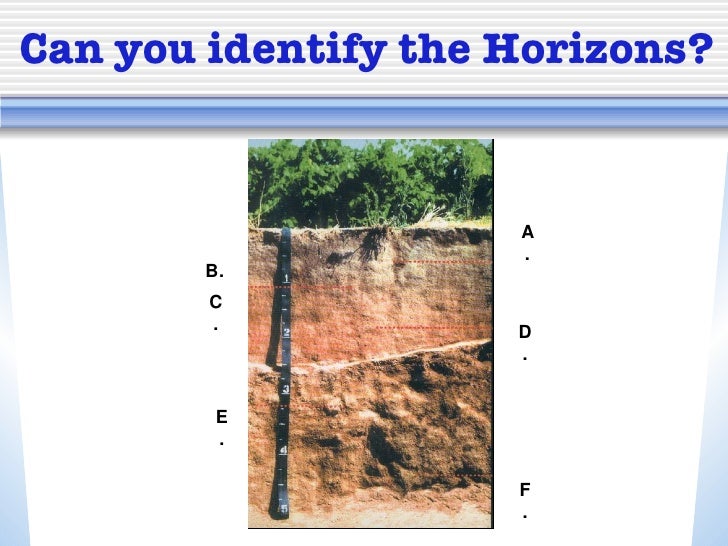 Soil horizons