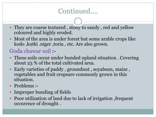 Soil in Chhattisgarh (IGKV RAIPUR. C.G) | PPTX