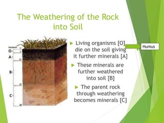 Soil in Malta | PPTX