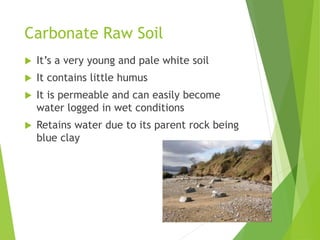 Soil in Malta | PPTX