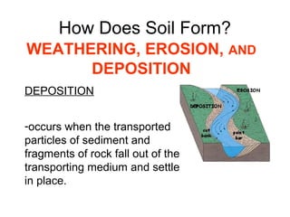 Soil intro (2016 revision) ppt | PPT