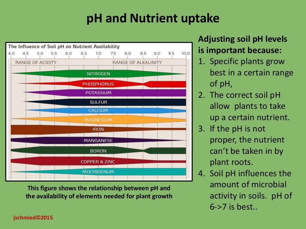 Soil lab guiding questions