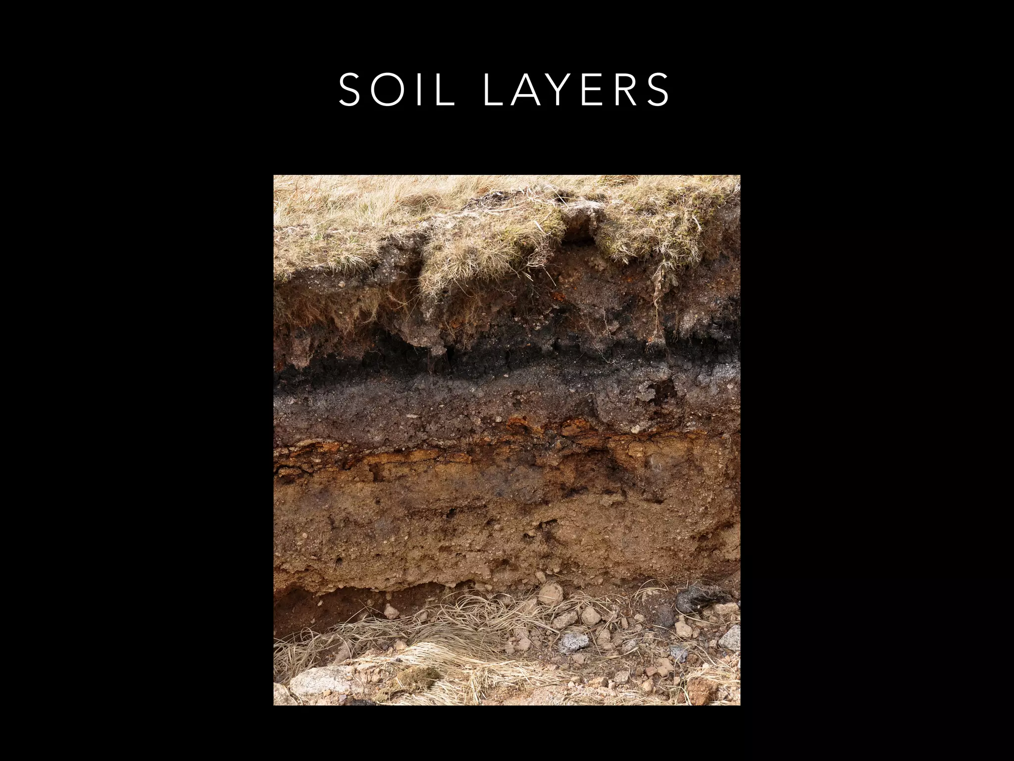 Soil layers | PDF | Gardening | Home & Garden