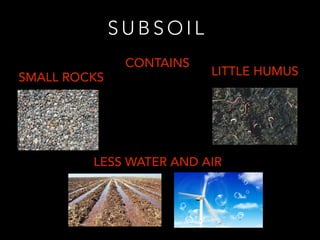 Soil layers | PDF