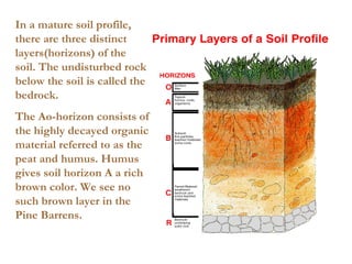 Soil lecture | PPT