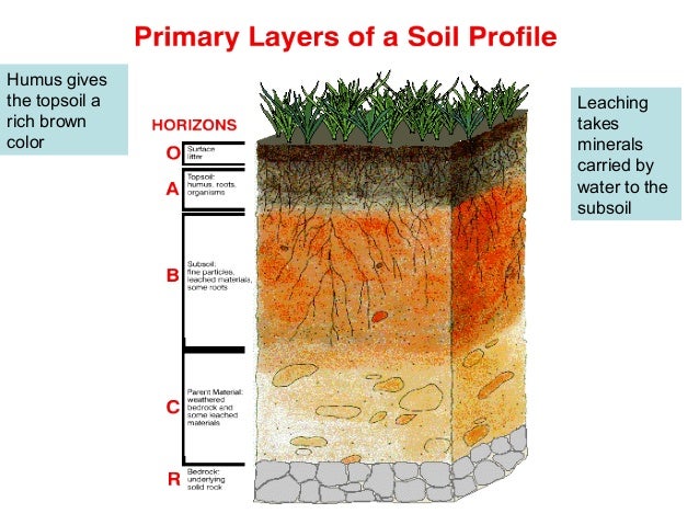 Characteristics Of Topsoil