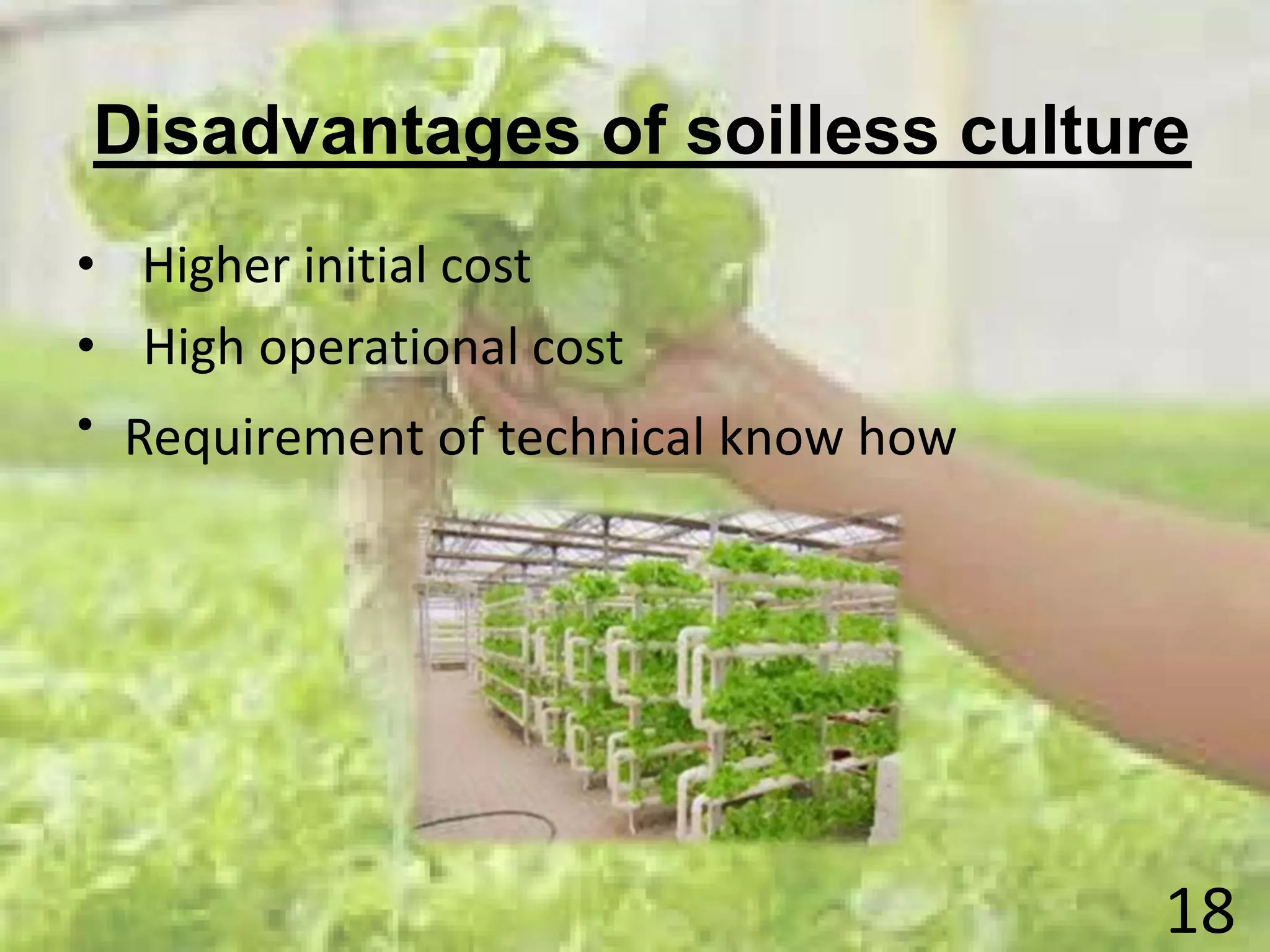 Soilless agriculture | PPTX