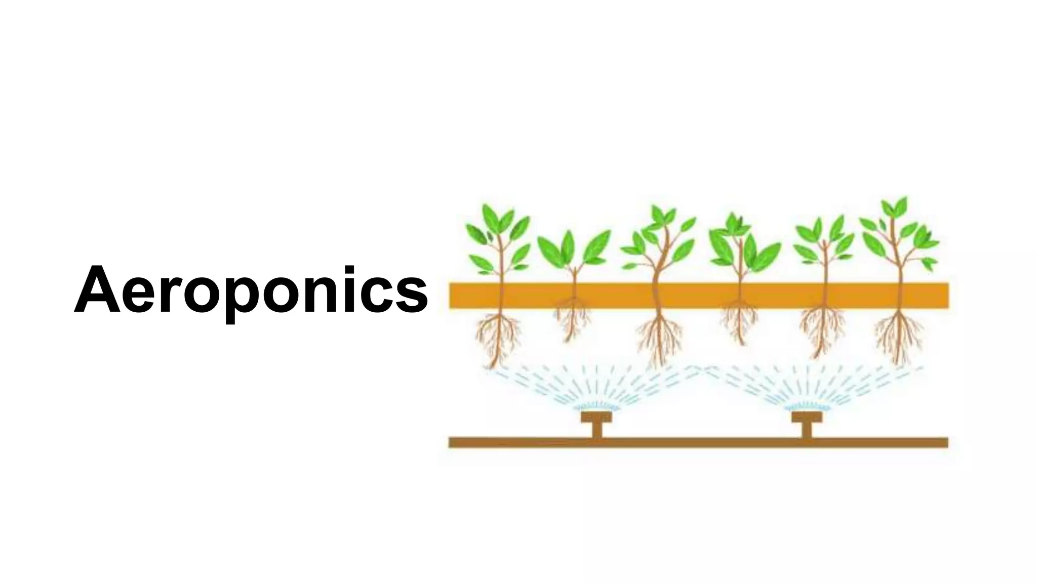 Soilless Farming in Vegetable Crops | PPTX