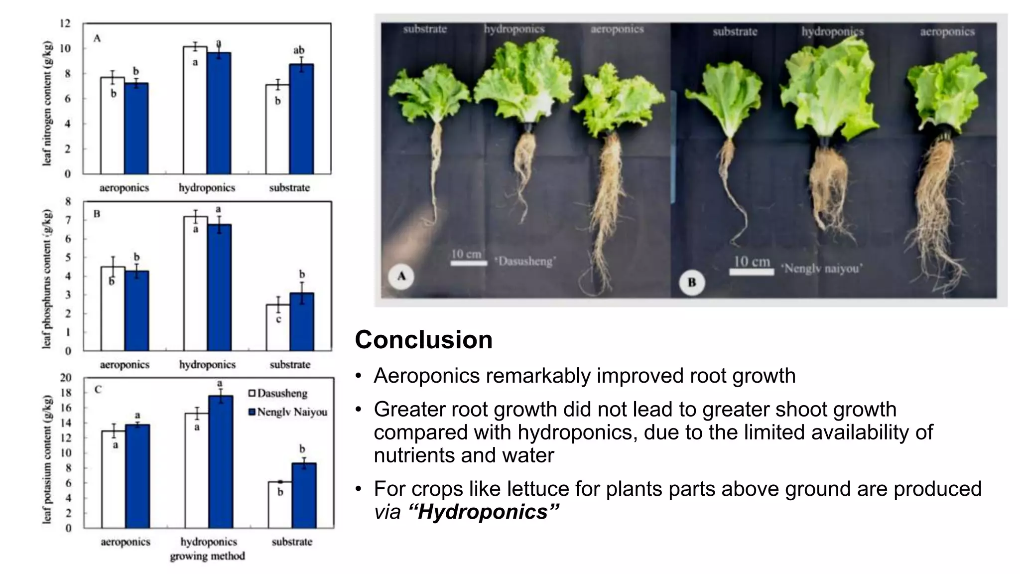 Soilless Farming in Vegetable Crops | PPTX