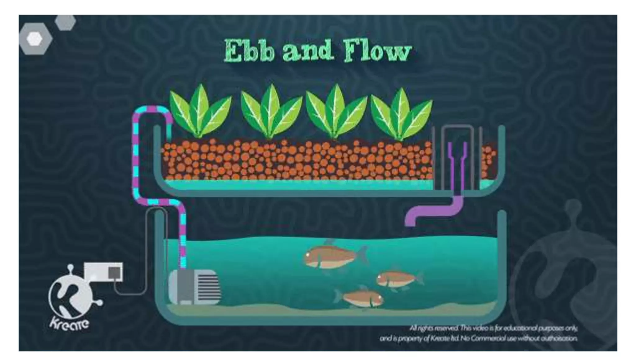 Soilless Farming in Vegetable Crops | PPTX