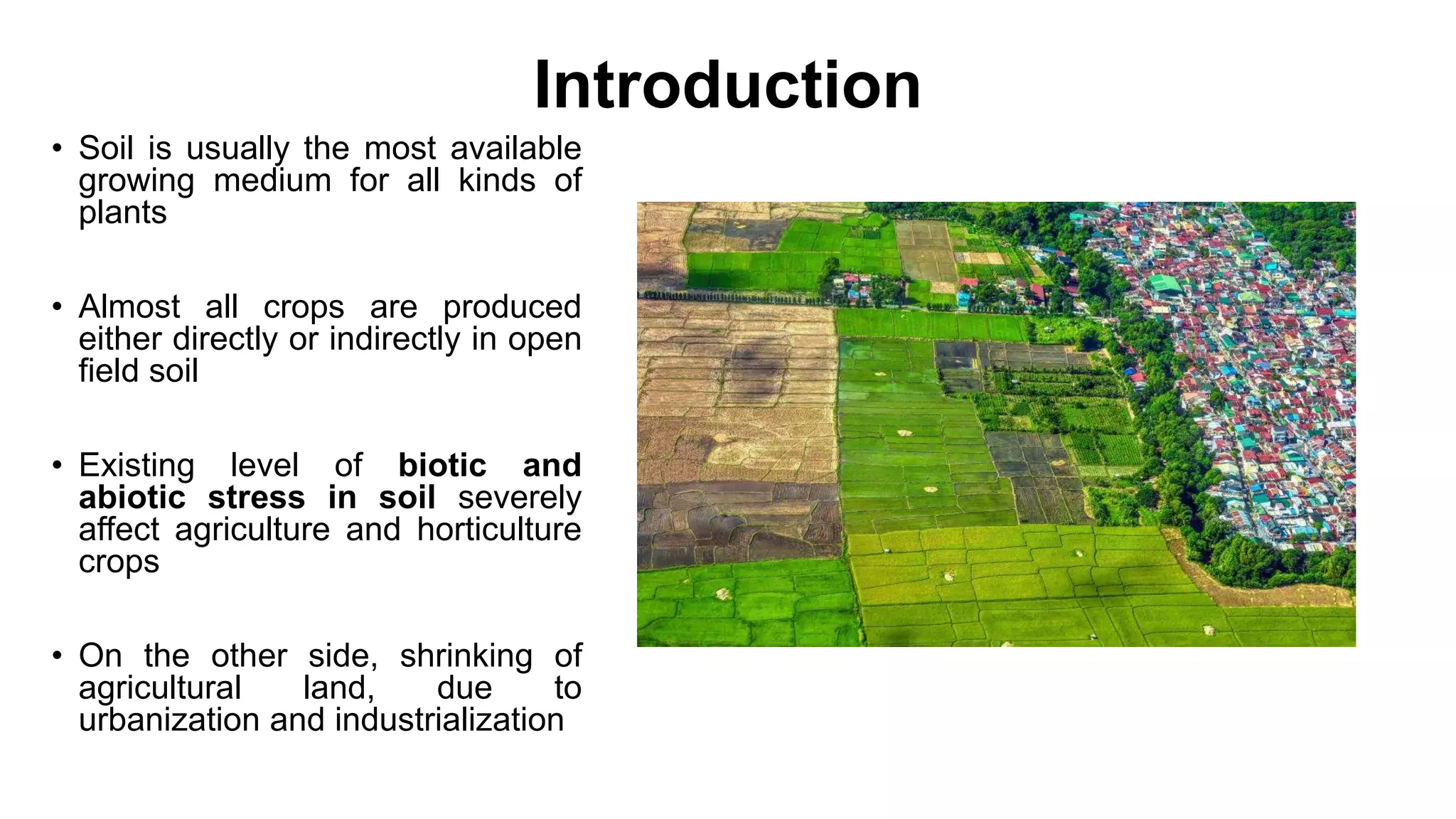 Soilless Farming in Vegetable Crops | PPTX