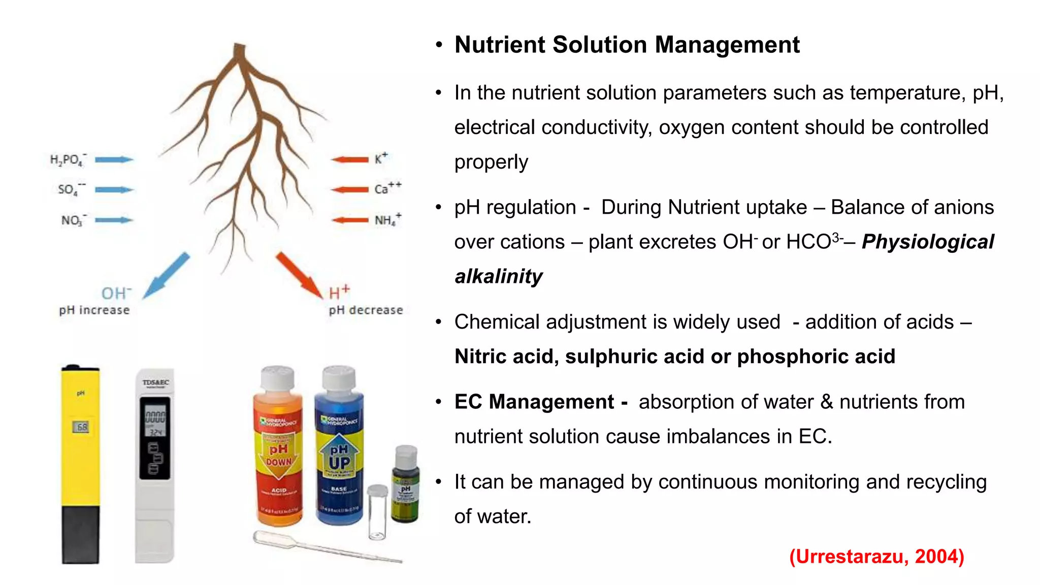 Soilless Farming in Vegetable Crops | PPTX