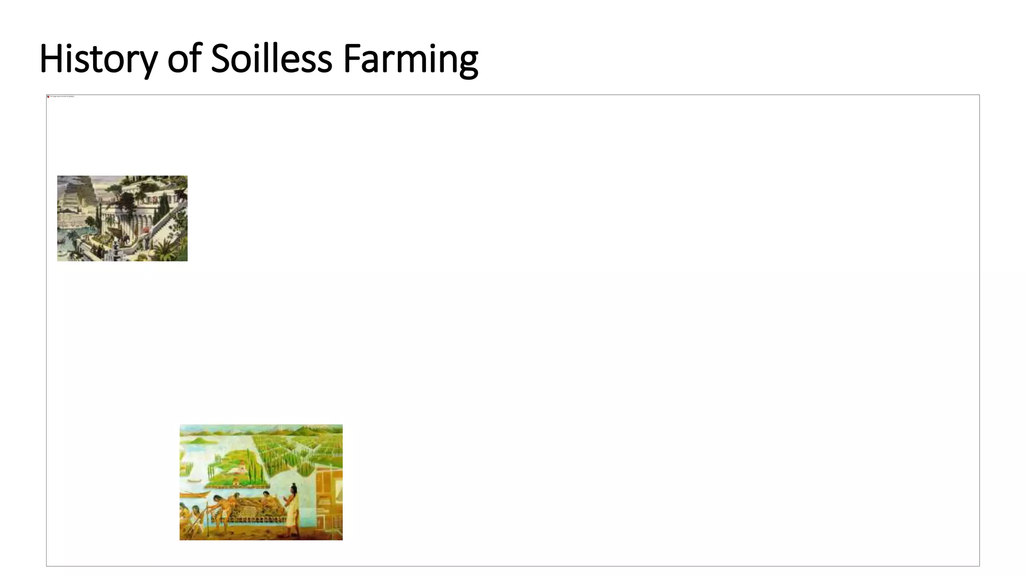 Soilless Farming in Vegetable Crops | PPTX