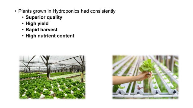 Soilless Farming in Vegetable Crops | PPTX | Agriculture | Industries