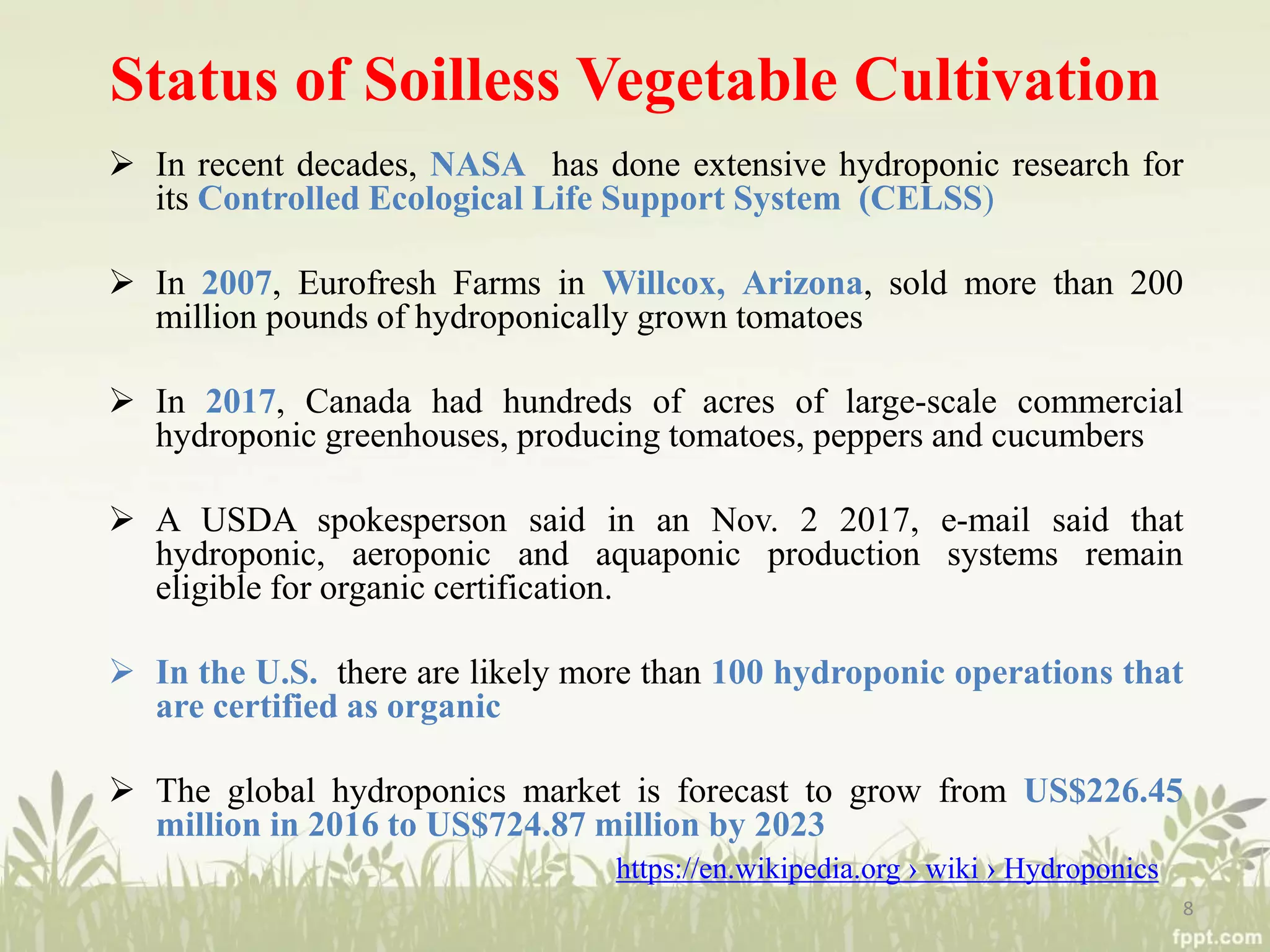 Soil less vegetables Cultivation.pptx