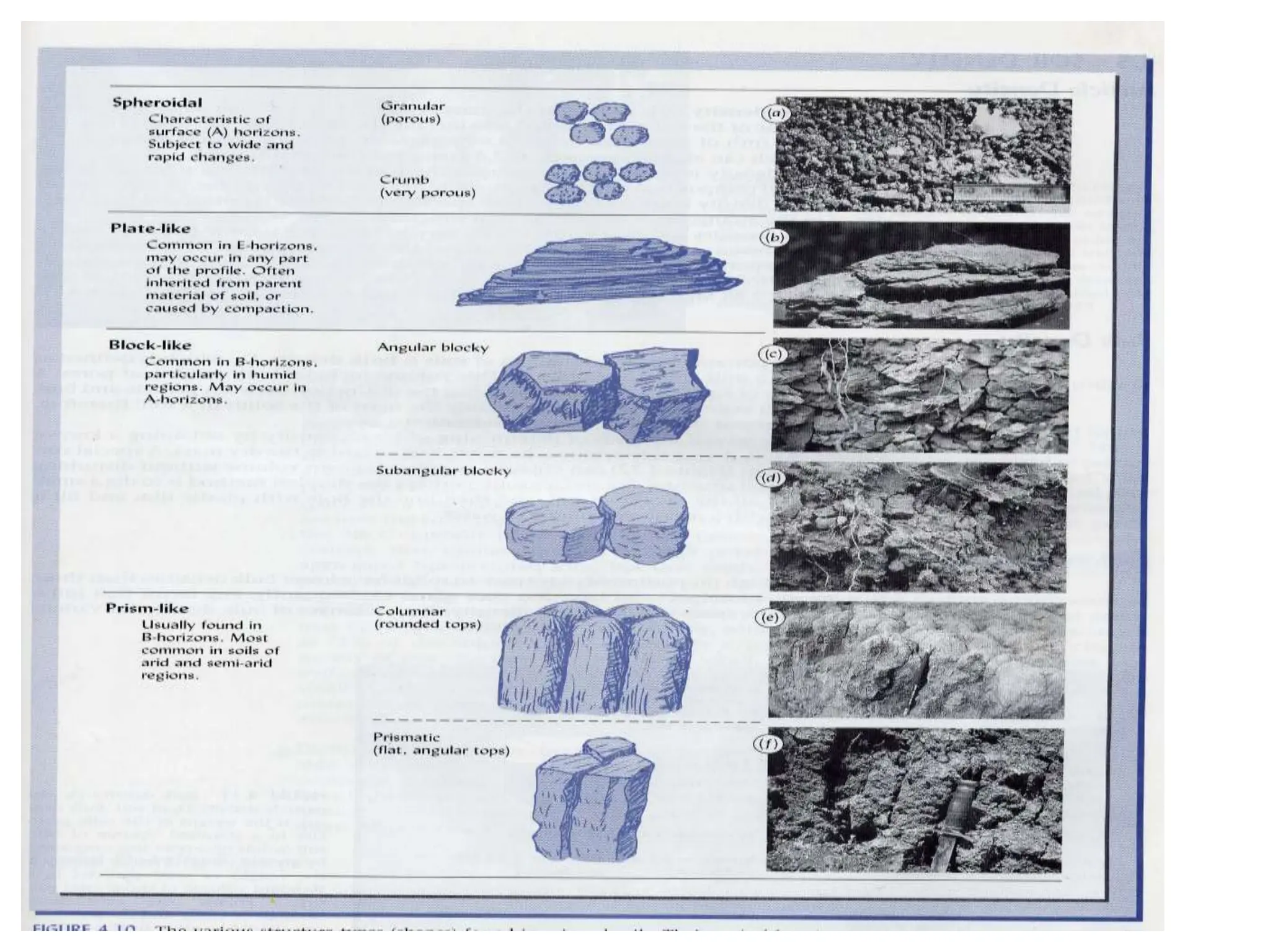 Sample soil and analyze results pptx | PPTX