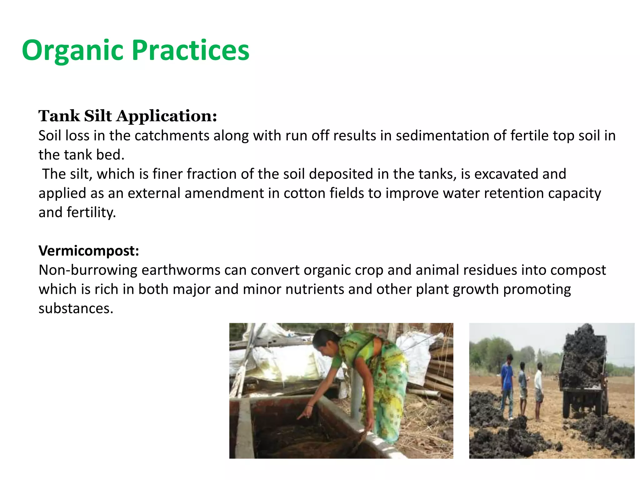 Soil management in cotton | PPTX