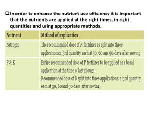 Soil management in cotton | PPTX