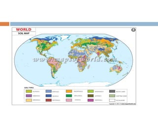 Soil mapping approach in gis | PPTX