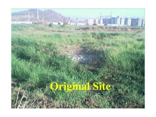 A case study on Ground improvement using Prefabricated Vertical Band ...