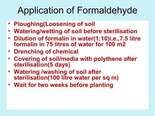 Soil media and bed preparation in poly houses | PPT