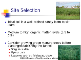 High Tunnel Soil Management | PDF