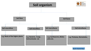 Soil micro ornanism beneficial and harmful role | PPTX