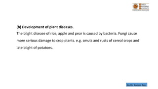 Soil micro ornanism beneficial and harmful role | PPTX