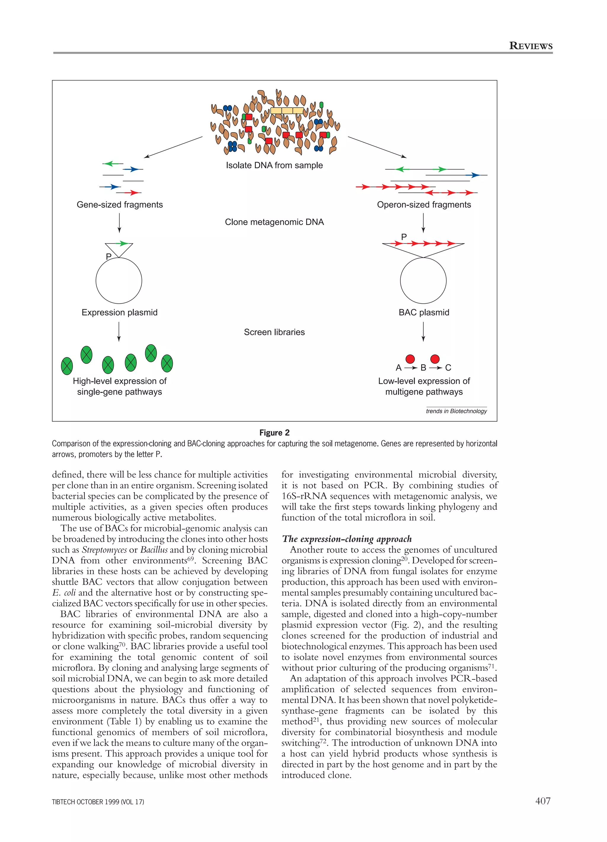 Soil microbial diversity | PDF