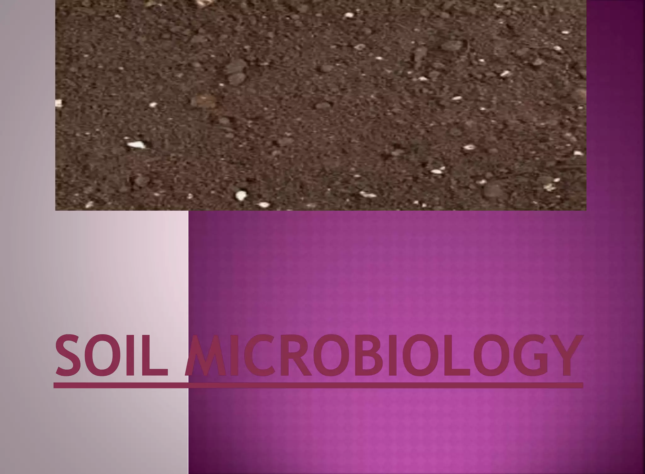 Soil microbiology | PPTX
