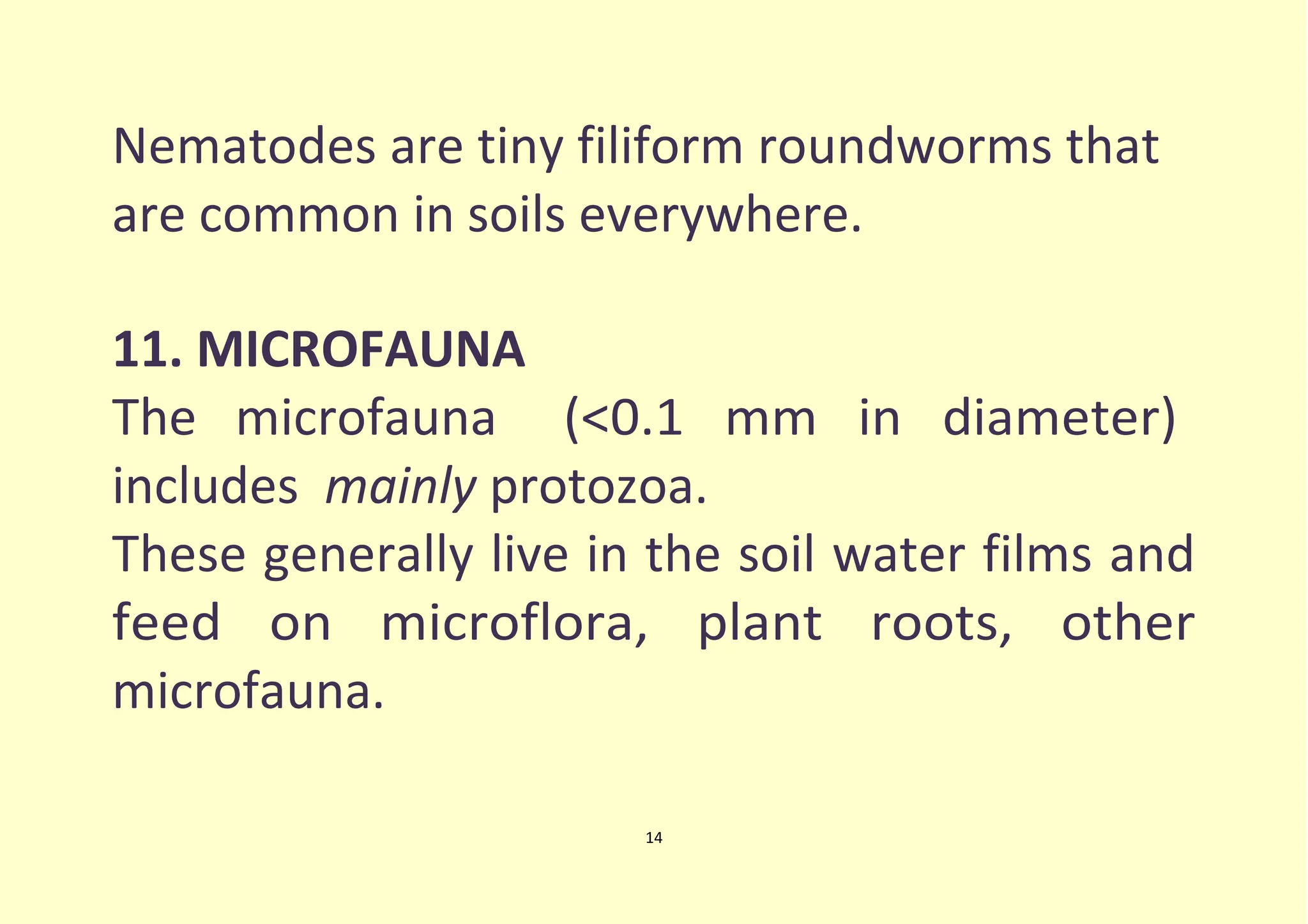 Soil microbiology- Microbes Associated with Soil | PDF