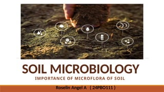 SOIL MICROBIOLOGY and microflora in soil | PPTX