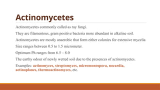 SOIL MICROBIOLOGY and microflora in soil | PPTX