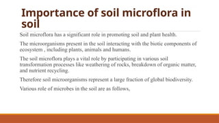 SOIL MICROBIOLOGY and microflora in soil | PPTX | Biological Sciences ...
