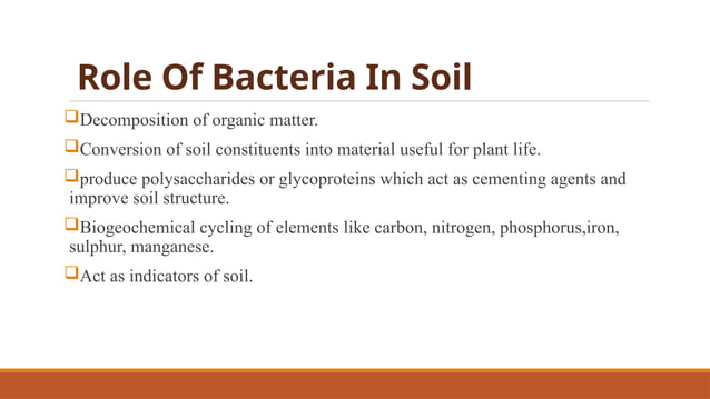 SOIL MICROBIOLOGY and microflora in soil | PPTX | Biological Sciences ...