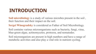 SOIL MICROBIOLOGY and microflora in soil | PPTX | Biological Sciences | Science