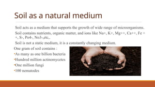 SOIL MICROBIOLOGY and microflora in soil | PPTX