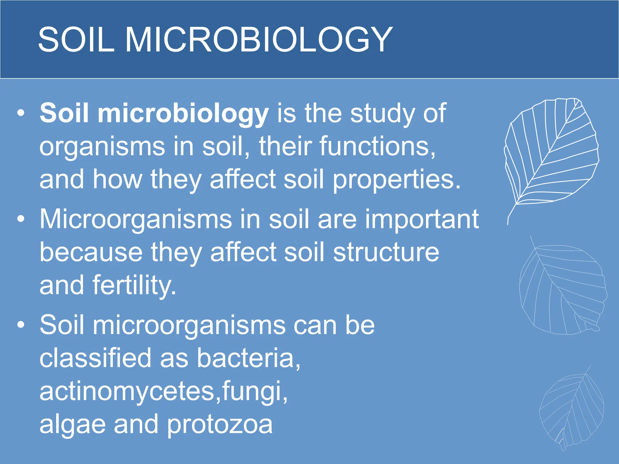 Soil Microbiology_MSP. related to microbes present in soil | PDF