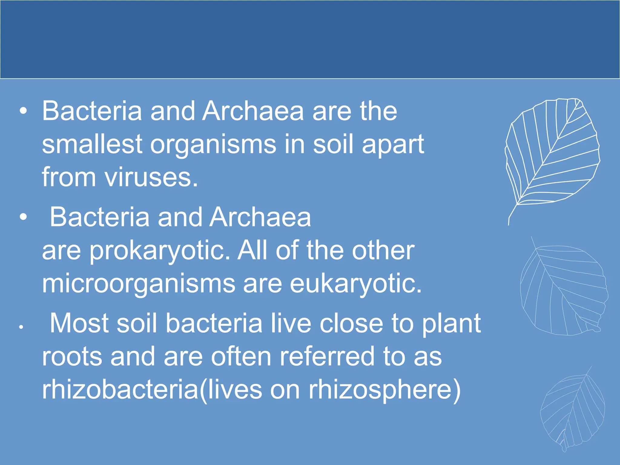 Soil Microbiology_MSP. related to microbes present in soil | PDF