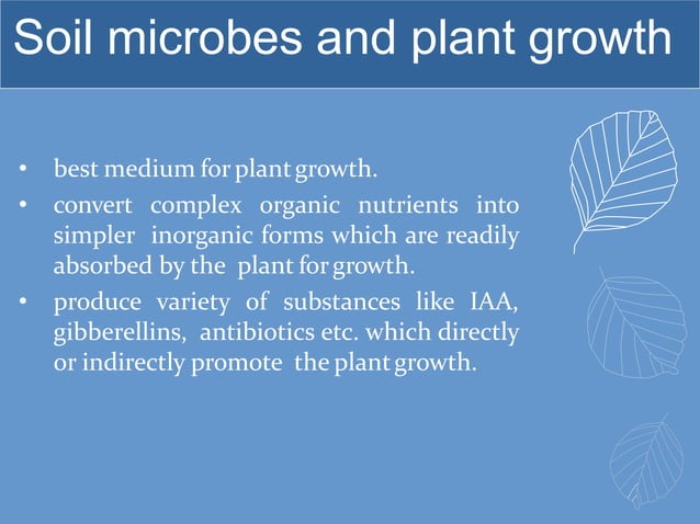 Soil Microbiology_MSP. related to microbes present in soil | PPT