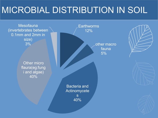 Soil Microbiology_MSP. related to microbes present in soil | PPT