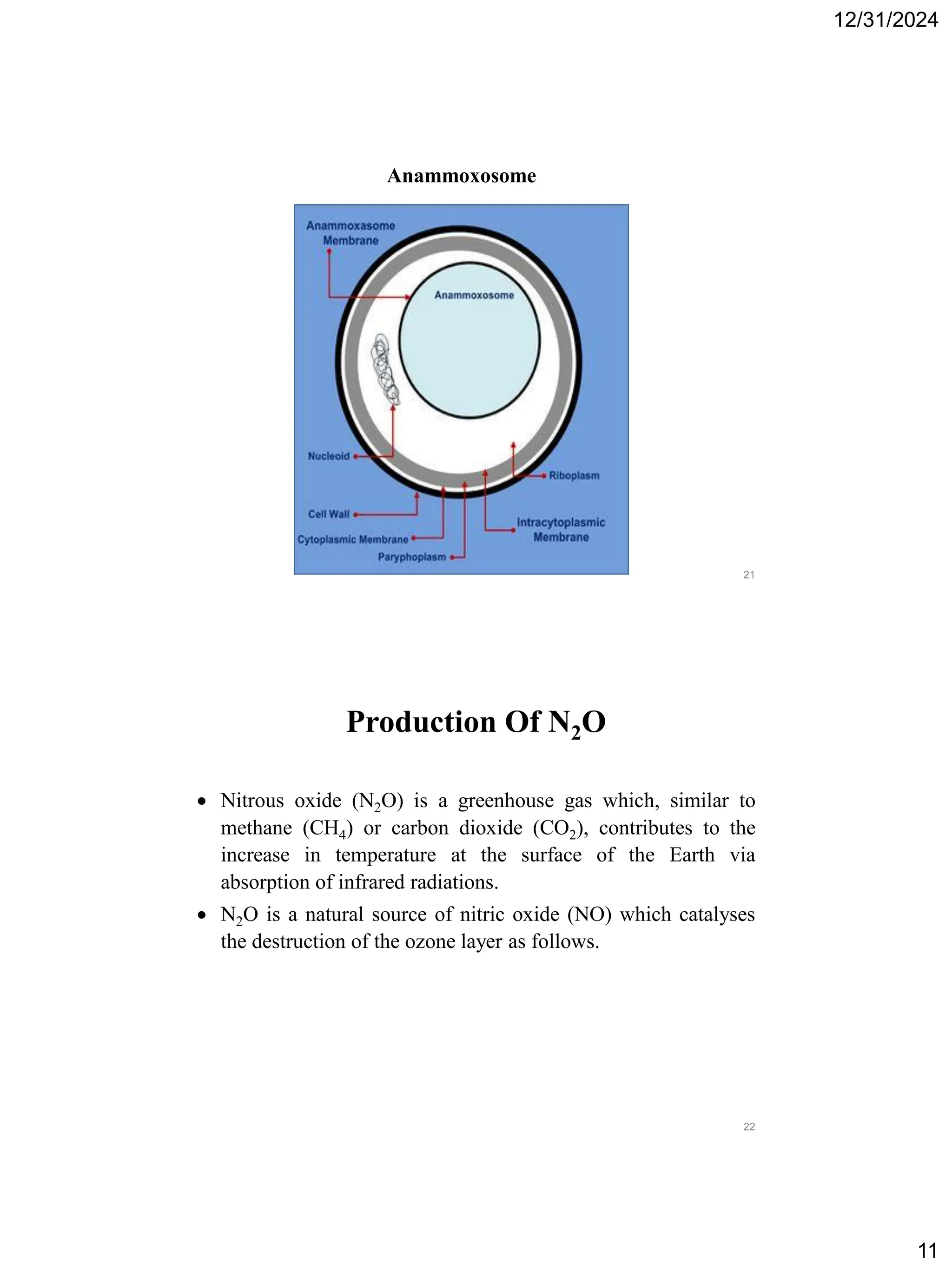 Soil Microbiology part 3 and biogeochemistry 2024.pdf