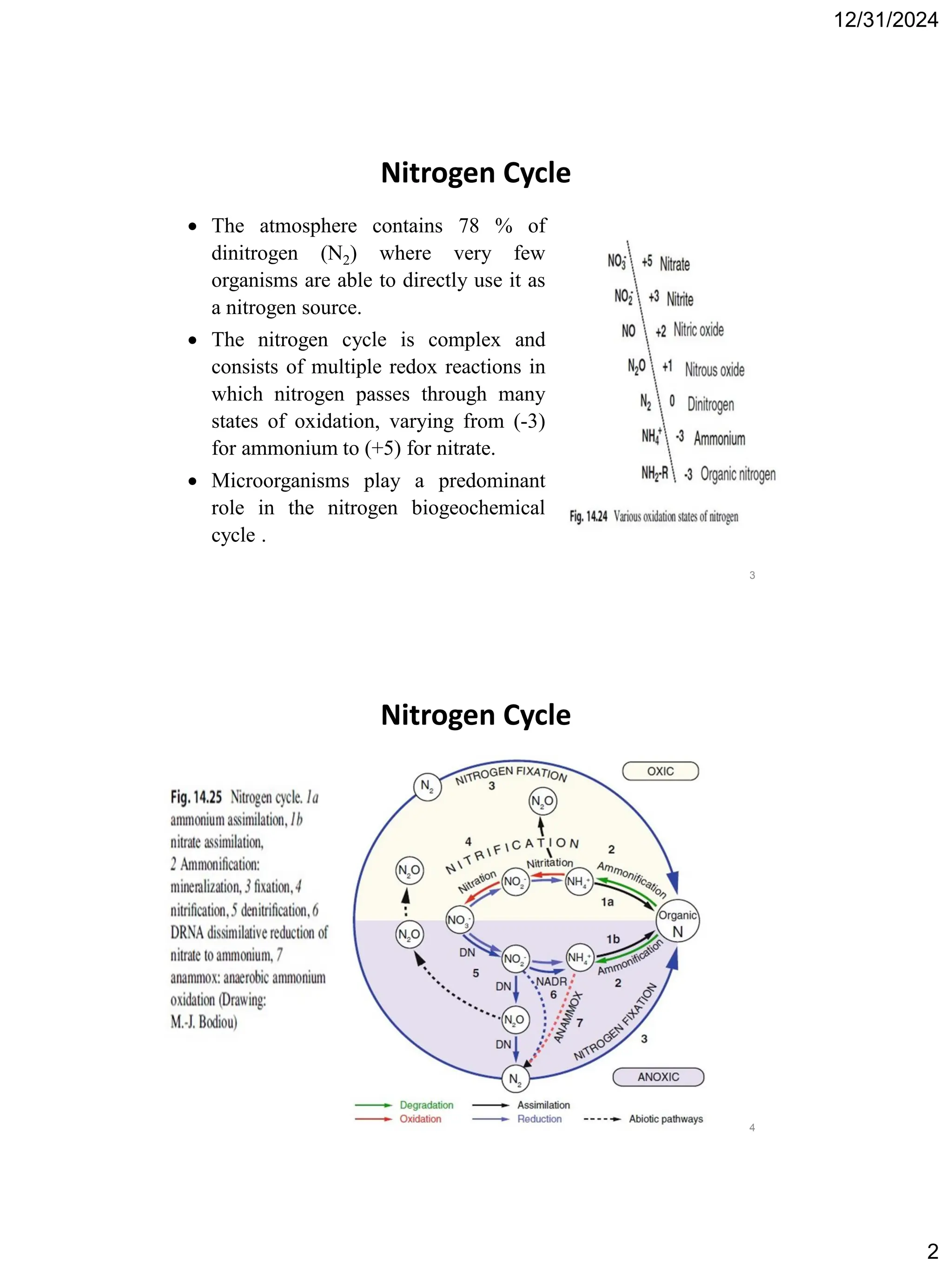 Soil Microbiology part 3 and biogeochemistry 2024.pdf