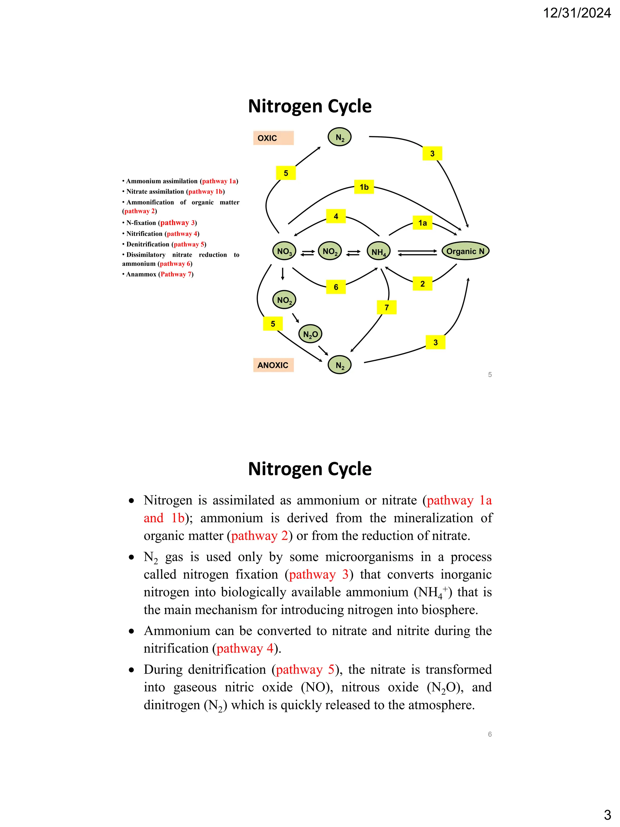 Soil Microbiology part 3 and biogeochemistry 2024.pdf