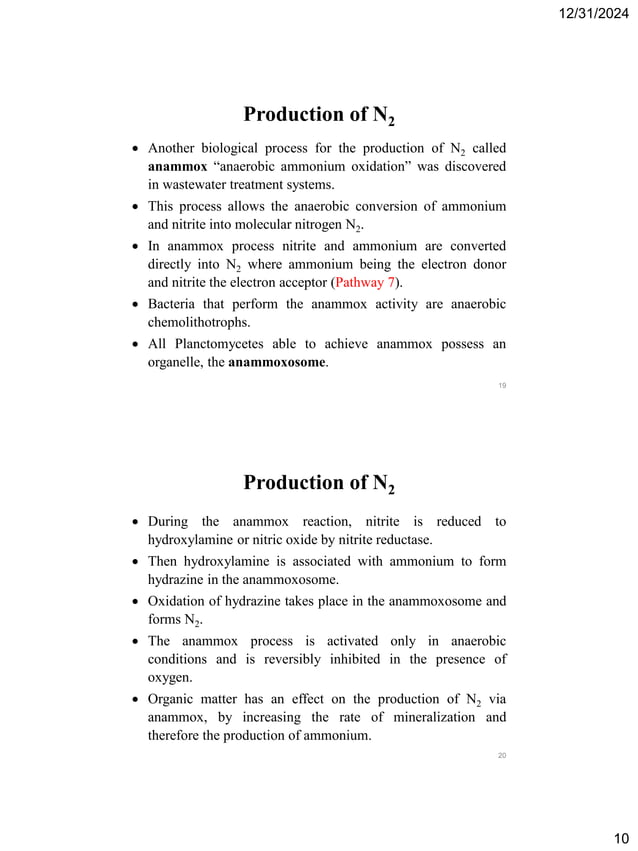 Soil Microbiology part 3 and biogeochemistry 2024.pdf