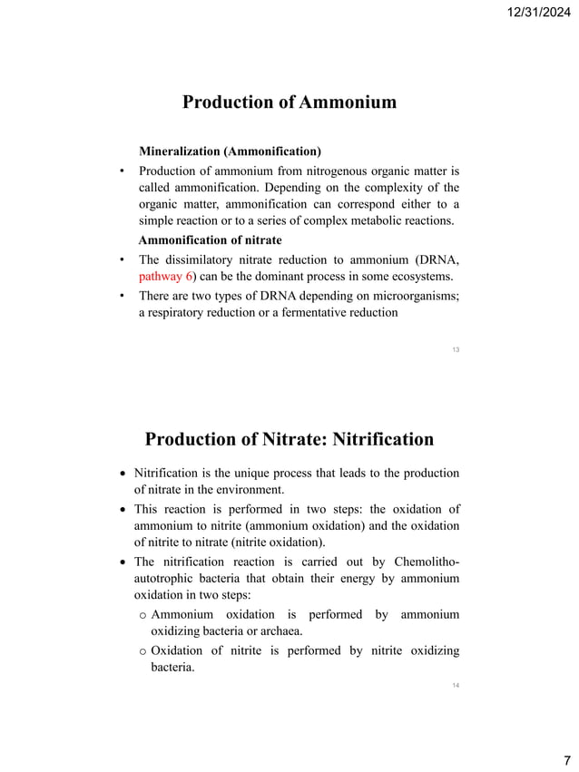 Soil Microbiology part 3 and biogeochemistry 2024.pdf