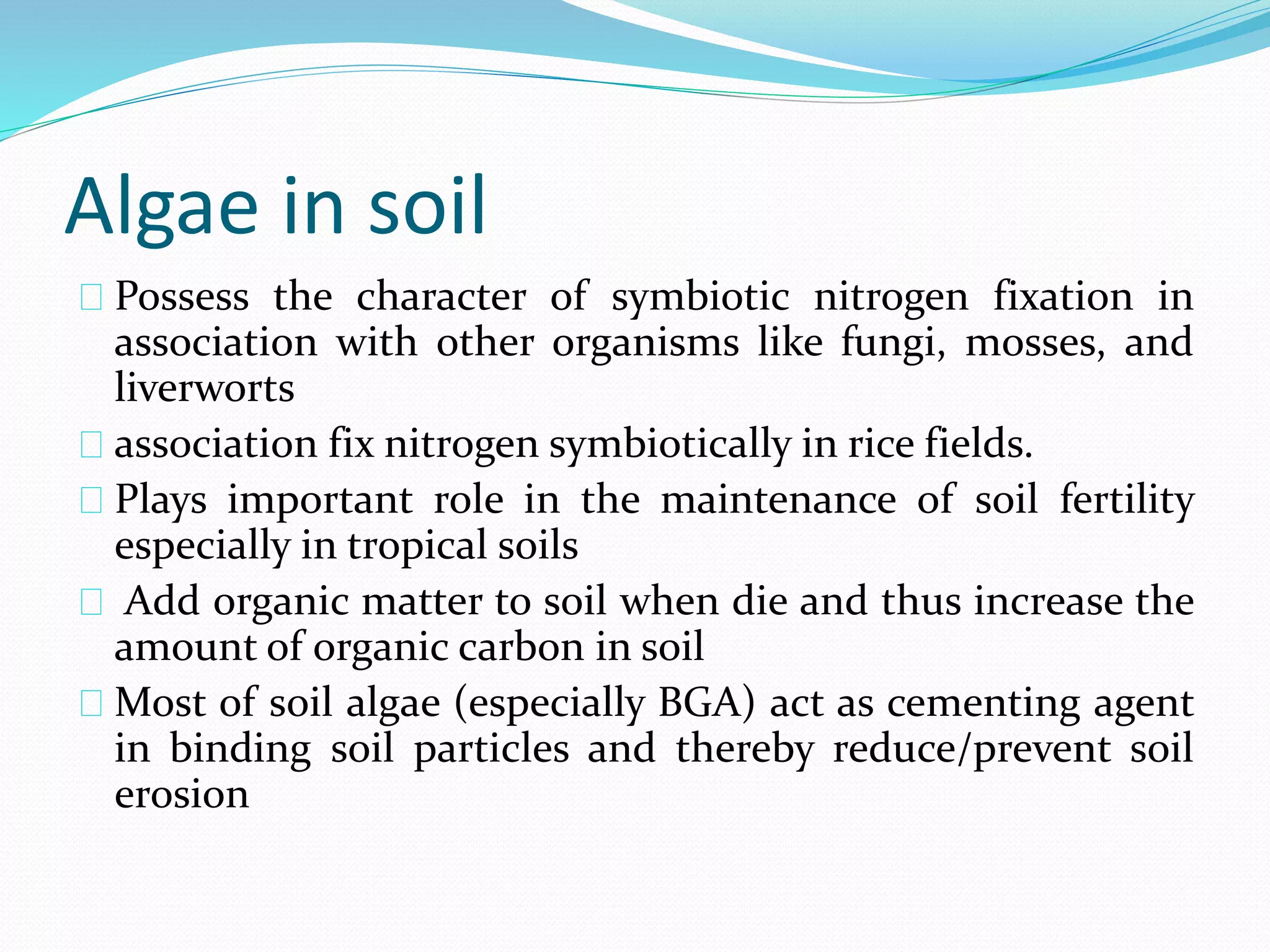 Soil microbiology | PPTX