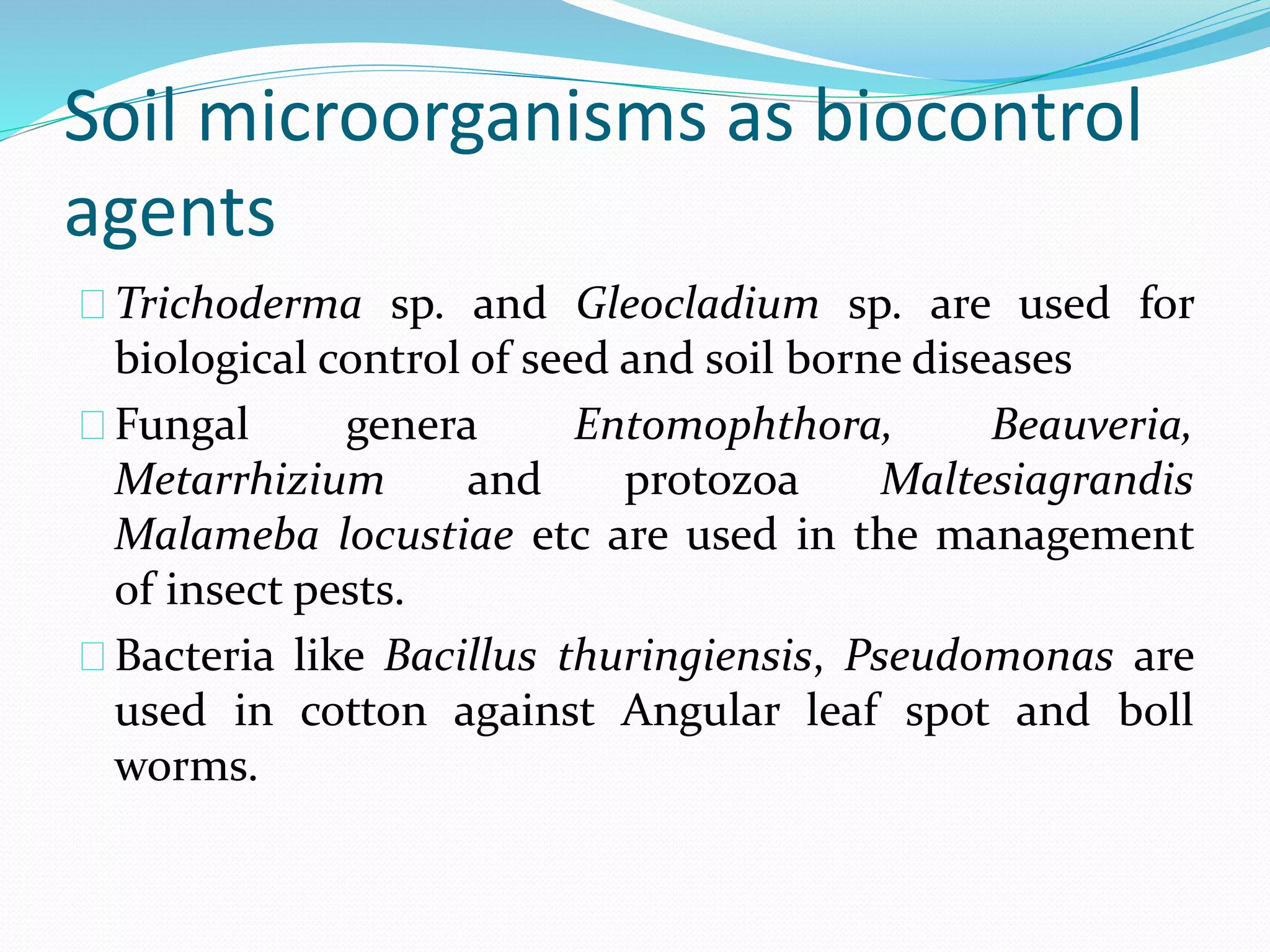 Soil microbiology | PPTX